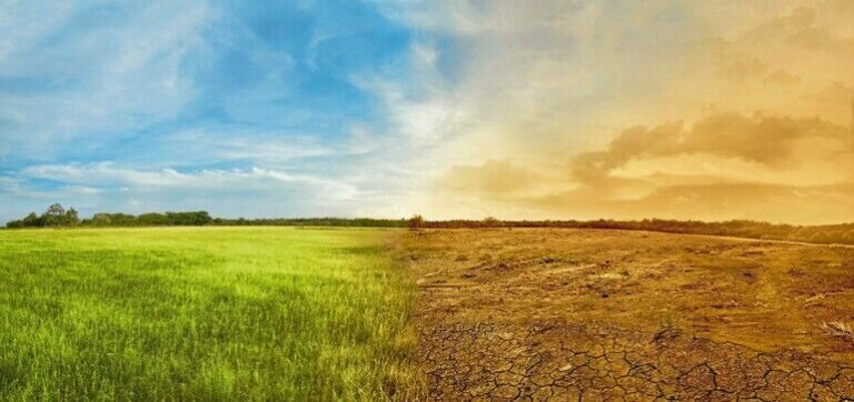 Der Klimawandel ist die größte Herausforderung für die Menschheit ... Der Klimawandel ist die größte Herausforderung für die Menschheit ...
